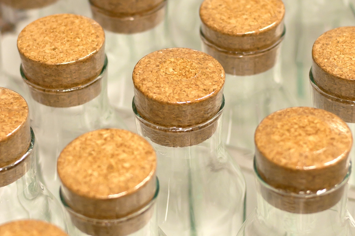 How Sustainable Is Cork? Exploring the Future of This Eco-Friendly Material