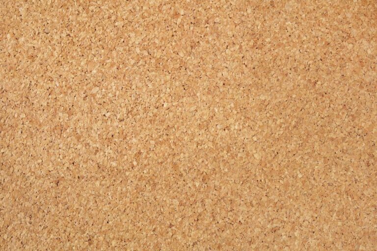 How Sustainable Is Cork? Exploring the Future of This Eco-Friendly Material