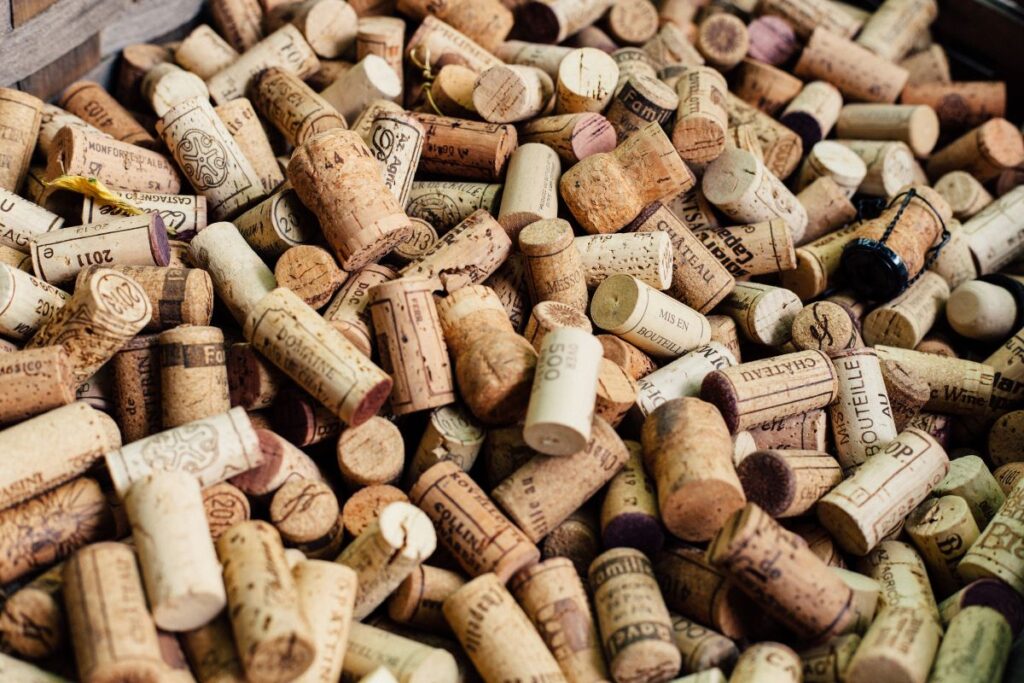 How Sustainable Is Cork? Exploring the Future of This Eco-Friendly Material