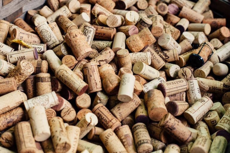 How Sustainable Is Cork? Exploring the Future of This Eco-Friendly Material
