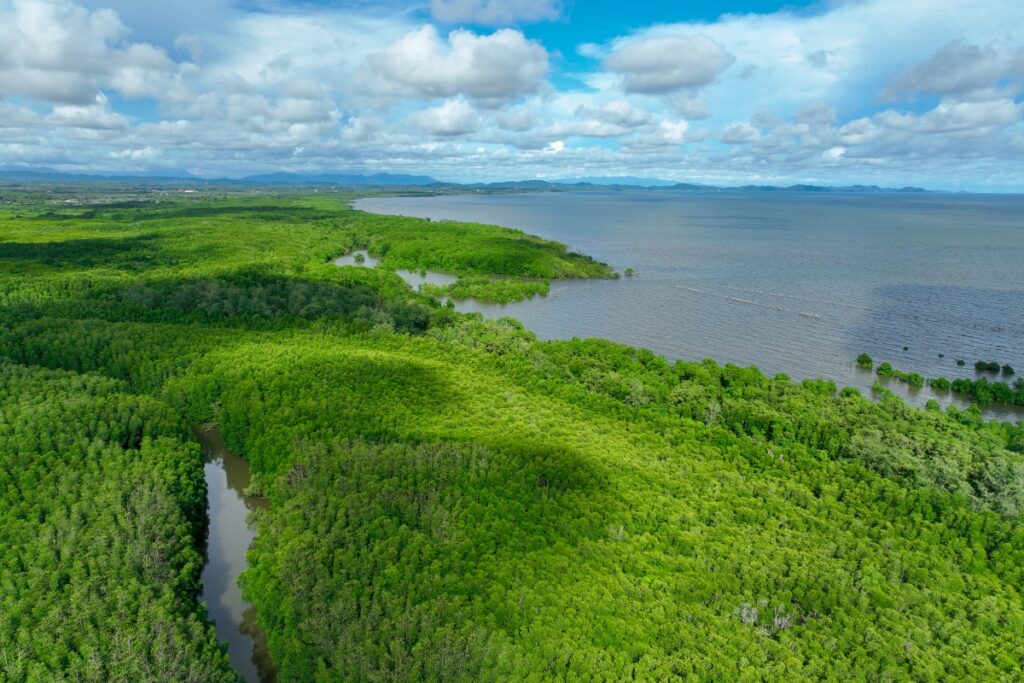 What is Carbon Mitigation? Understanding Emission Reduction and Offsetting